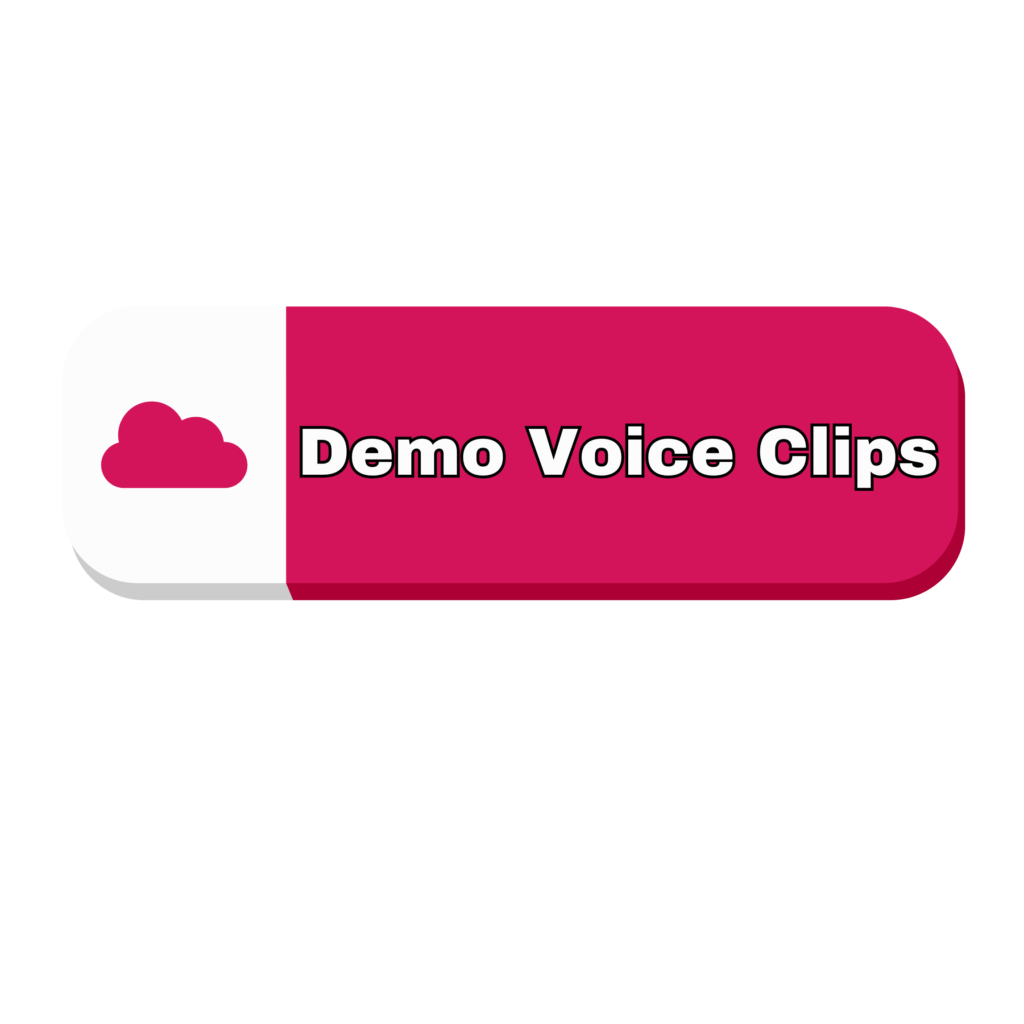VidVoicer - AI Text to Voice Software - The Ebundle Tools